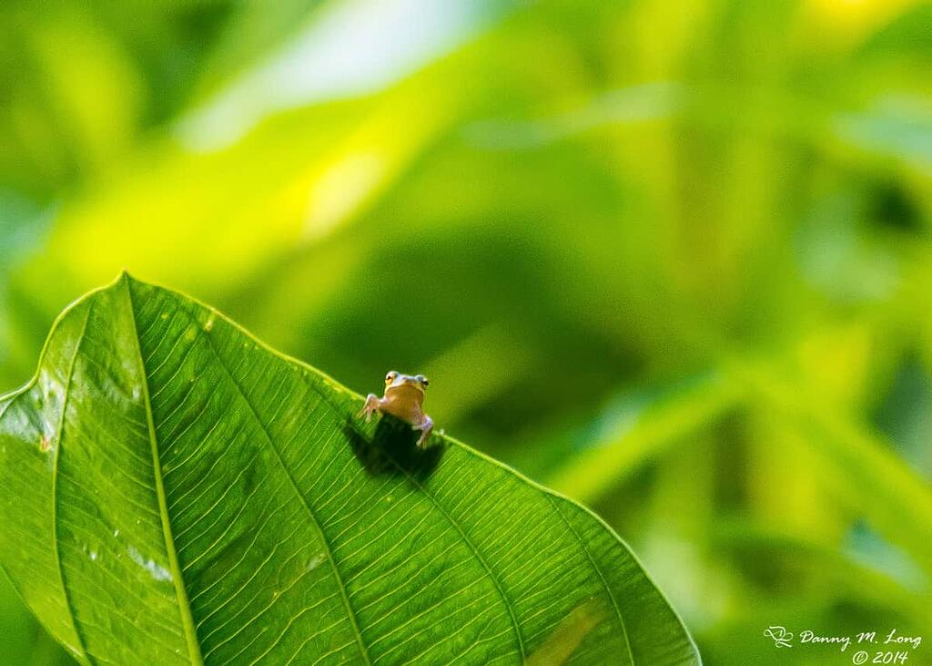 Careful Nature is Watching - Hobbies & Pastimes: Your Photos / Art ...